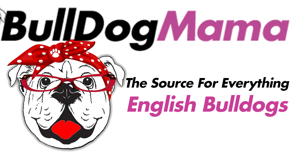 Expert Advice for Happy Owners | BulldogMama.com